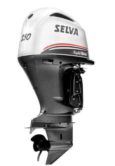 Nuevos motores de última generación Selva Marine para 2021 – Panorama ...